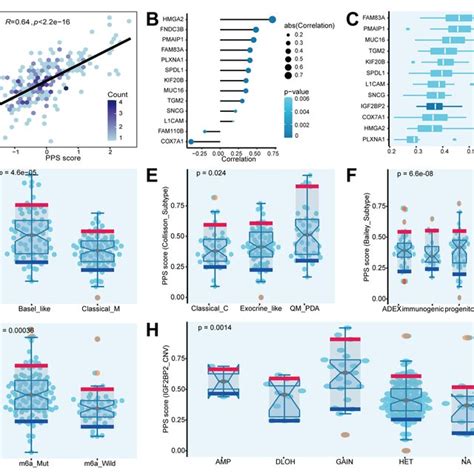 Exploration Of The Pps Related Molecular Subtype Characteristics A Download Scientific