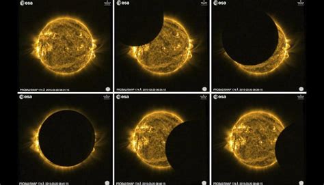 Ciencias Naturales Lepri Mind Map