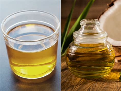 Tea Tree Oil For Yeast Infection Uses Organic Facts