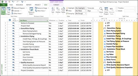 using microsoft project custom fields