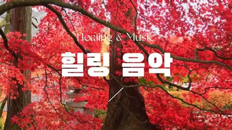 ♡healing♡ 가을에 듣기좋은 음악힐링음악요가음악조용한음악 Youtube