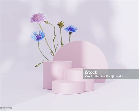 파스텔 핑크와 자연 화이트 배경 복사 공간에 필드 플라워 콘플라워 여름 그림자가 있는 3d 포디움 디스플레이 라일락 쇼케이스 받침대 트렌디한 추상 3d 렌더링 일러스트