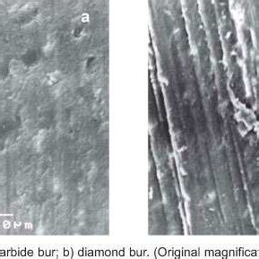 PDF THE SMEAR LAYER REVISITED