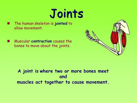 Ppt Joints Powerpoint Presentation Free Download Id 2290879