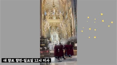 산티아고 콤포스텔라 대성당 향로미사 Youtube