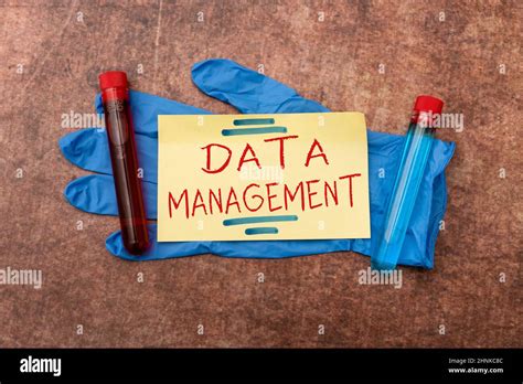 Inspiration Showing Sign Data Management Word For Disciplines Related