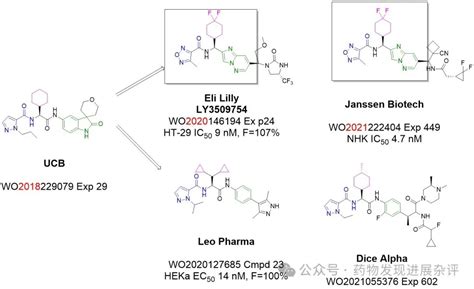 礼来“三顾”口服小分子il 17a抑制剂，dc 853成临床独苗，dc 806完成使命，退出舞台 腾讯云开发者社区 腾讯云