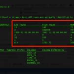 Viewing BLOBs In SQL Developer As Text