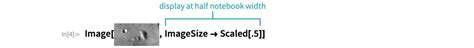 Make A Notebook Width Image—wolfram Documentation