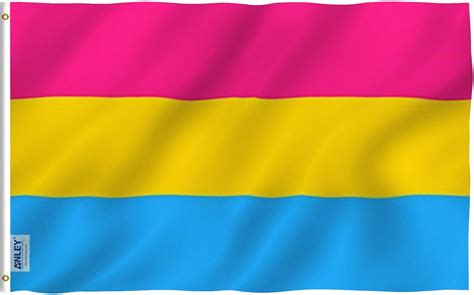 Anley Fly Breeze 3x5 Foot Pansexual Pride Flag Vivid Color And Uv