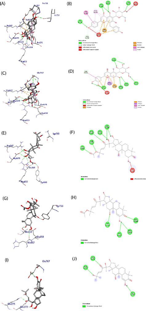 Pictorial Representation Of The Molecular Interactions Between
