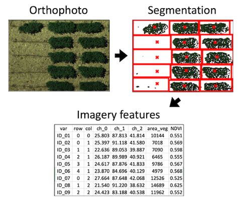 Remote Sensing Free Full Text GRID A Python Package For Field Plot