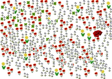 Quadrats Practical Teaching Resources