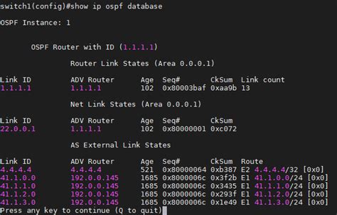 Troubleshooting Guide Of OSPF Omada Network Support