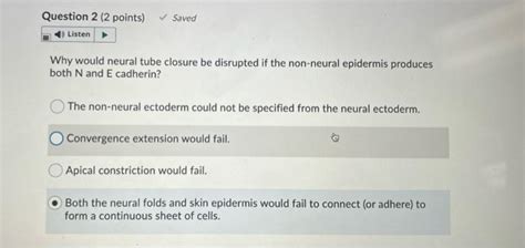 Solved Saved Question Points Listen Why Would Neural Chegg