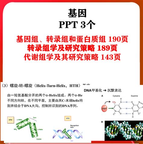 基因转录蛋白质组转录组学及研究策略代谢组学及其研究策略ppt Taobao