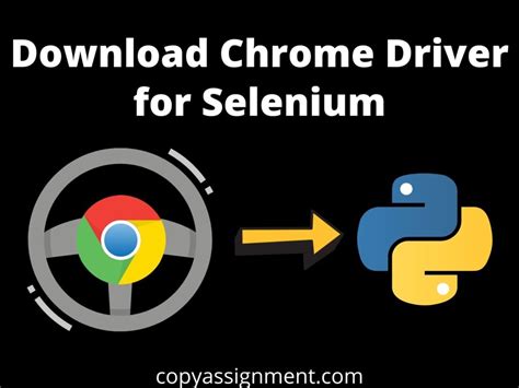 Download Chrome Driver For Selenium Copyassignment