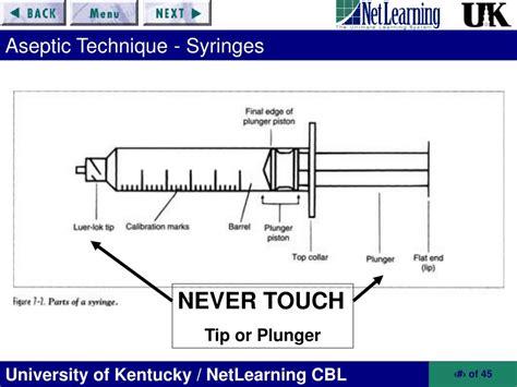 Ppt Theoretical Principles And Practical Skills Of Aseptic