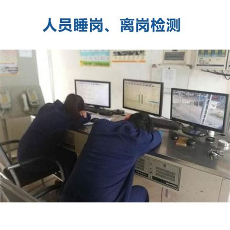全国定制视觉分析告警系统 人员睡岗离岗烟火多重检测服务 全国定制视觉分析告警系统 人员睡岗离岗烟火多重检测服务