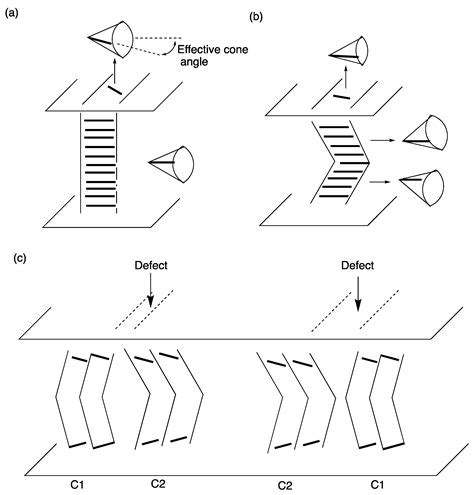 Ferroelectric Smectic Liquid Crystals