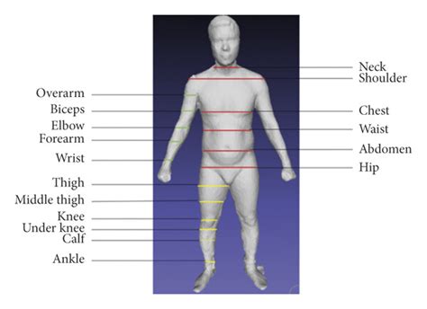 Generating Point Cloud From Measurements And Shapes Based On Convolutional Neural Network An