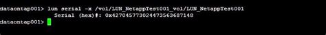 Netapp Esxi How To Identify Netapp Iscsi Lun By Serial Number