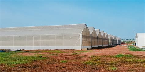 Invernaderos Archivos Novagric