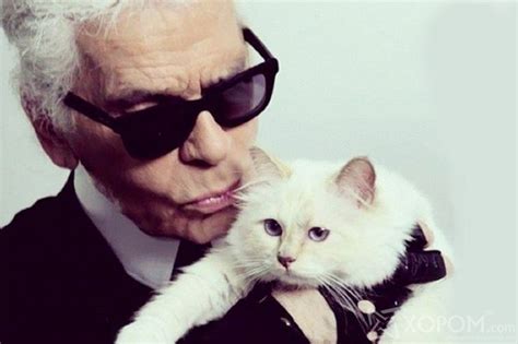 Бүх цаг үеийн хамгийн баян 10 гэрийн тэжээмэл амьтан