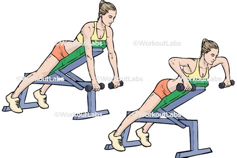 Dumbbell Row Machine