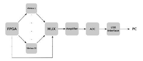 Diagram Of The Whole System A Fpga Sequentially Drives The X And Y Download Scientific Diagram