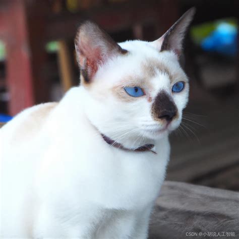 Openai Chatgpt最新官方接口《ai绘图》全网最详细中英文实用指南和教程，助你零基础快速轻松掌握全新技术（三）（附源码）openai 画图 Csdn博客