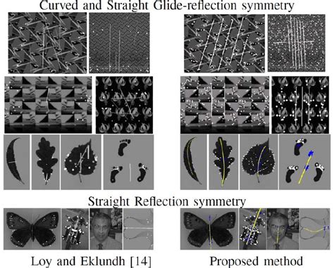 Curved And Straight Glide Reflection Axes Detection Comparison Loy And