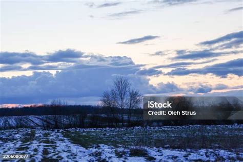 들판에 눈이 살짝 쌓인 겨울 풍경 구도의 중앙에는 잎이 없는 고독한 나무가 구름이 있는 황혼의 하늘을 배경으로 서 있습니다 0명에 대한 스톡 사진 및 기타 이미지 Istock