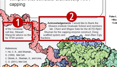 Better Posters Critique RNA Capping