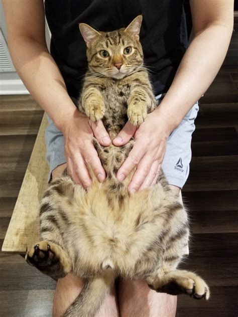 어쩔 것이여~ 이리도 예쁜 거니~
