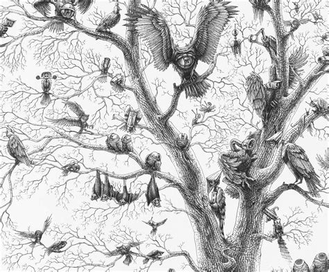 Tree With Birds Cross Hatching Art Print 420x297mm 165x117 Inches Tree With Birds Cross Hatching Art Print 420x297mm 165x117 Inches