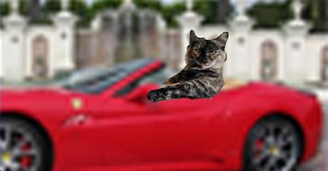 This Can Pick Up Ur Girl Imgur