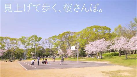 【2021春】見上げて歩く、桜さんぽ。枚方のおすすめお花見スポット・桜の名所｜ひらいろ 大阪府枚方市の観光情報サイト｜ひらいろ動画部
