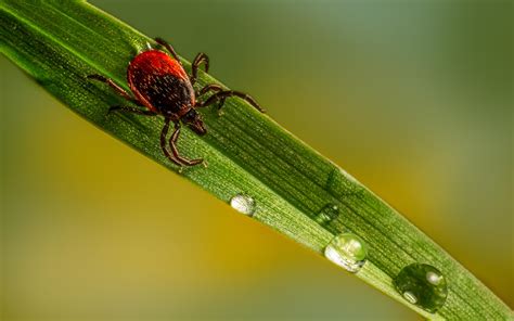 Зеленая экономика на РБК Трендах