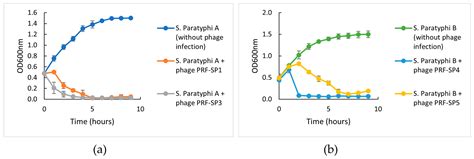 Ijms Free Full Text Phenotypic Characterization And Comparative Genomic Analysis Of Novel