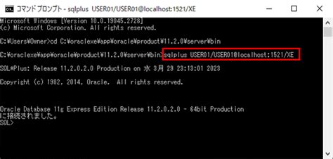 Sqlplusコマンドで2通りの方法でoracleに接続してみた｜itエンジニアとして経験・学習したこと