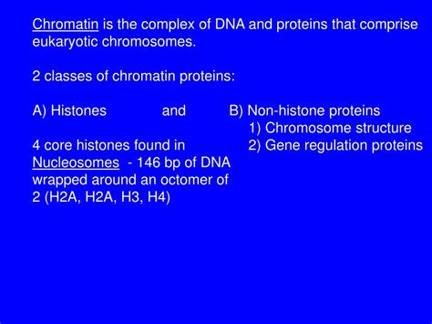 Ppt Chromatin Structure And Function Powerpoint Presentation Free