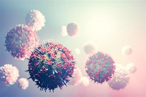 Sars Cov 2 Omicron Breakthrough Infections Induce Antibodies With Cross
