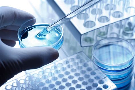 What Is Proteomics Techniques Applications And Methods ~ Nautilus