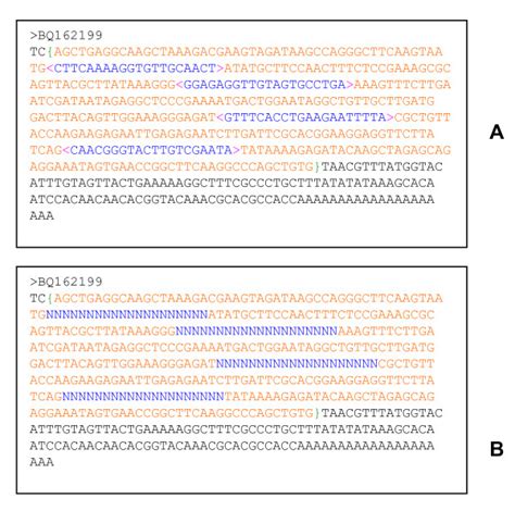 An Example Of Dna Sequence Preprocessing Download Scientific Diagram