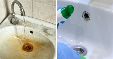 Trucos Para Limpiar El Baño Rápido Y Dejarlo Rechinando De Limpio” Salud180