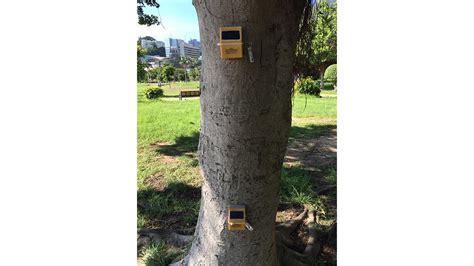 Outdoor Iot Sensing Network And Data Management Platform For Tree
