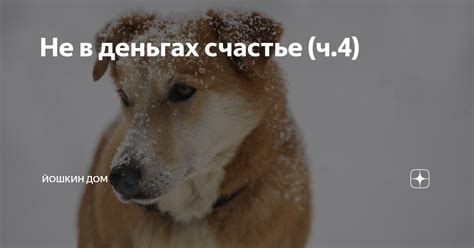 Не в деньгах счастье ч 4 Йошкин Дом Дзен