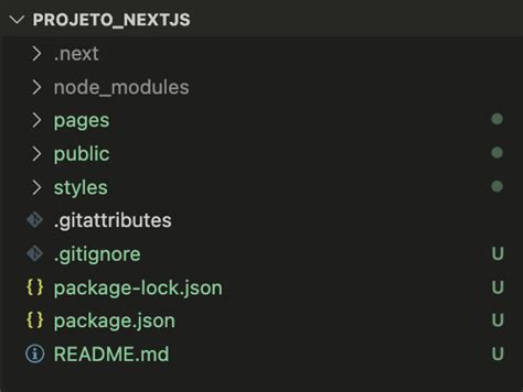 Nextjs Diego Mariano