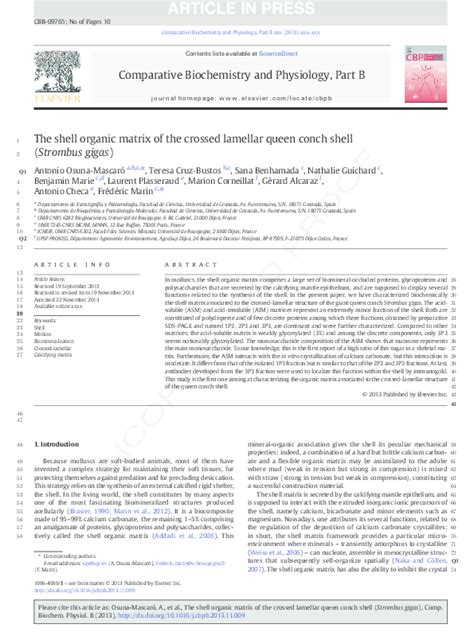 Pdf The Shell Organic Matrix Of The Crossed Lamellar Queen Conch Shell Strombus Gigas